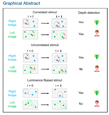 Publications – Vivek Nityananda